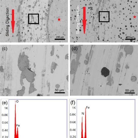 SEM Images For The A TP Sample And B TF Sample Under POD Sliding Download Scientific