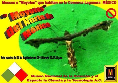 Museo Nacional De La AviaciÓn Y El Espacio La Ciencia Y La TecnologÍa A C Moscos O Moyotes