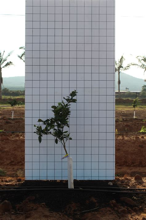 quantify biomass on a grid pattern image analysis image sc forum