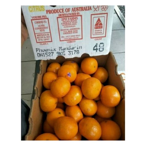 Jual Jeruk Phonix Australia 9 Kg Box Shopee Indonesia