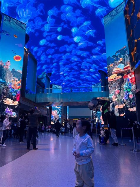 인스파이어 엔터테인먼트 리조트 아이와 영종도 여행 로툰다 오로라 거리 인스파이어몰 체크인 대기 네이버 블로그