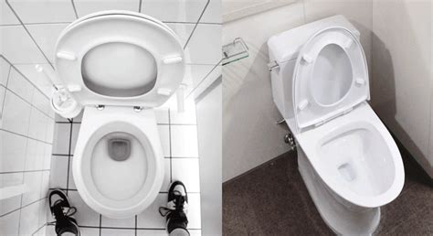Round Vs Elongated Toilet Comparison Toiletsman