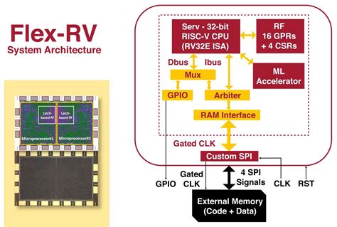 pragmatic semiconductor memperkenalkan prosesor risc v fleksibel yang