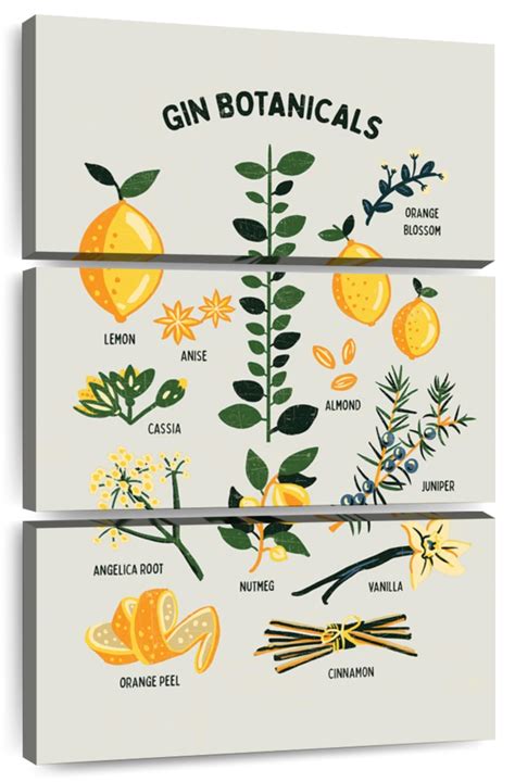 Botanical Gin Chart Wall Art Digital Art By The Whiskey Ginger