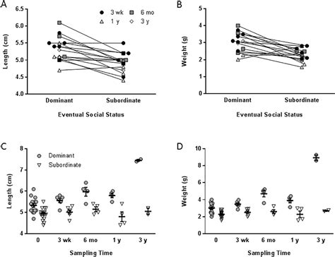 Sex Change It Starts In The Brain Oceanbites