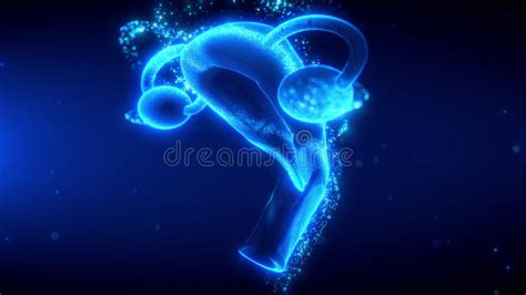 3d Rotating Holographic View Of Female Reproductive System Stock Video Video Of Biotech