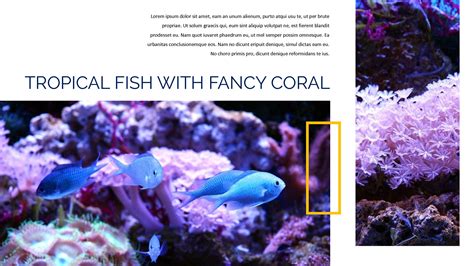 수중 세계 구글슬라이드 템플릿