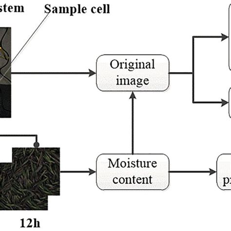 Flowchart Of The Algorithm And Experiment Download Scientific Diagram