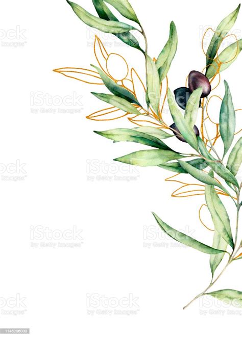 올리브 가지와 잎 수채화와 황금 스케치 카드 손으로 그린 디자인 인쇄 직물 또는 배경 흰색 배경에 고립 된 꽃 그림 금 금속에 대한 스톡 벡터 아트 및 기타 이미지 Istock