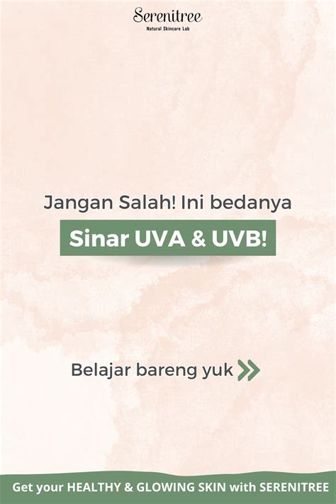 Perbedaan Sinar Uva Dan Uvb Serta Dampaknya Pada Kulit Blog Jenis