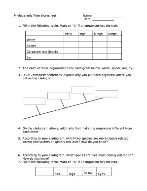 Ap Biology Phylogeny Review Worksheet Answers Doc Template PdfFiller