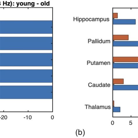 Resting‐state Functional Magnetic Resonance Imaging Rs‐fmri Frequency