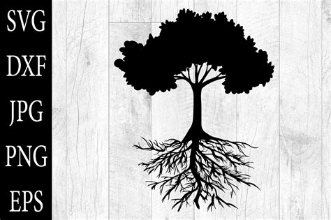 Tree With Roots Silhouettes SVG PNG EPS Graphic By Aleksa Popovic Creative Fabrica