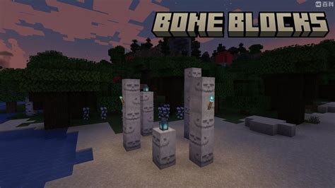 What Are Bone Blocks Used For In Minecraft At Anthony Baldessin Blog