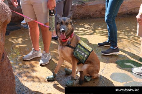 Opencl Oddness On Framework Laptop Amd Page 2 Darktable Discuss