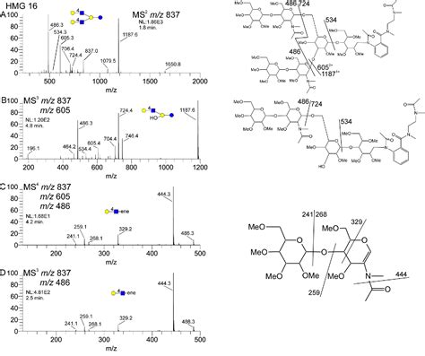 Figure 6 From Structural Characterization By Multistage Mass