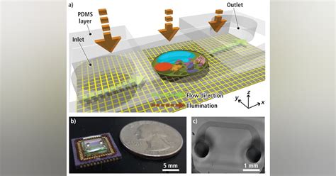 Medical Applications Lensless Microscopy System Reveals 3 D Structures Vision Systems Design