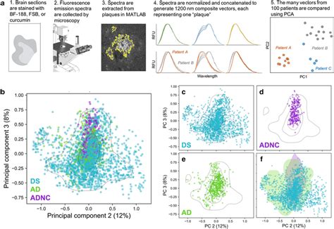 Pca Performed On Plaque Derived Fluorescence Spectra Reveals A Subset Download Scientific