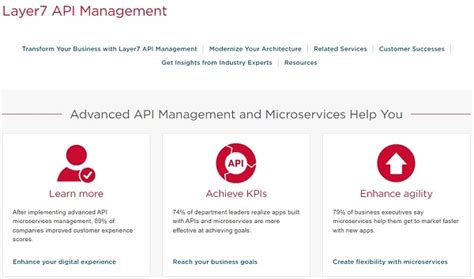 Ca Api Management Layer7 Api Management
