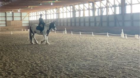 Meadow And Darek Usdf Intro C Part 2 Youtube