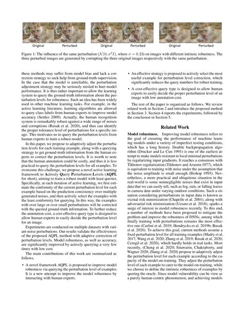 Improving Model Robustness By Adaptively Correcting Perturbation Levels