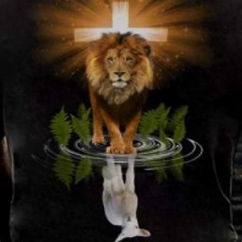 Christopher Shrout Youtube