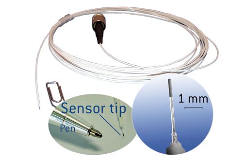 Microsensors For O2 And Ph Coy Laboratory Products Flexible