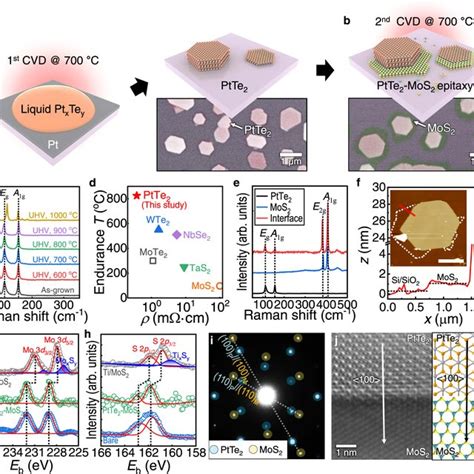 Formation Of Mos2 Ptte2 Lateral Heterostructure By Two Step Growth A Download Scientific