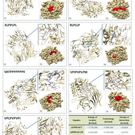 Three Dimensional Molecular Docking Results Of The Receptor Ligand Download Scientific Diagram
