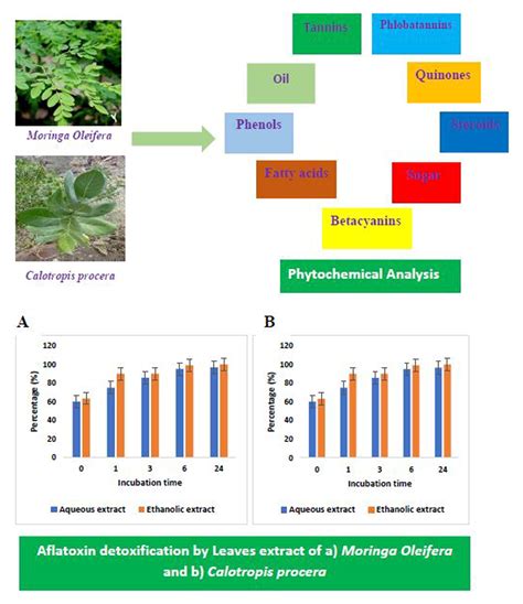 Phytochemicals Analysis And Aflatoxin B1 Detoxification Potential Of