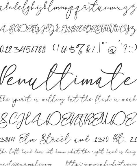 Longtail Font Download Free For Desktop Webfont