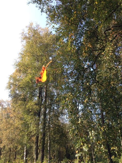 Nature Pornography On Tumblr