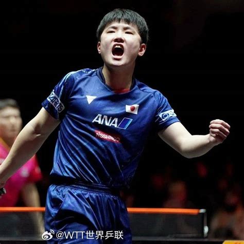 林诗栋将战张本智和！福冈总决赛1123赛程出炉，赶快来关注！ 国球汇vs中国日本