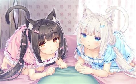 Pin On ༕⠀₍ᵔ˳︬ᵔ₎︬ᵎᵎ⠀nekopara⠀⠀