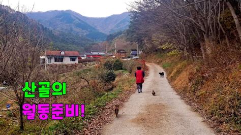 산골의 월동준비 산골 식구들의 겨울나기 준비~ Youtube