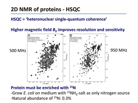 Ppt Nmr Spectroscopy Powerpoint Presentation Free Download Id 3546913