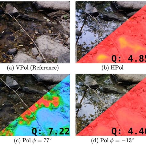 Sensitivity To Polarized Incident Light Imaging Through A Vertical