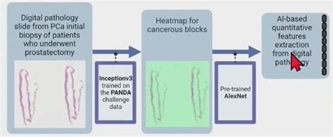 Astro 2023 Post Prostatectomy Risk Stratification Of Biochemical