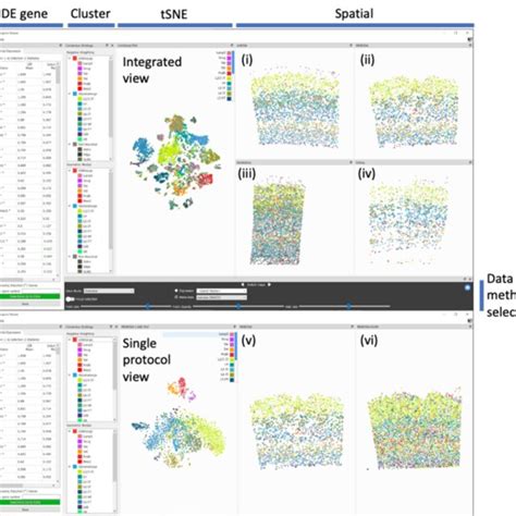 Cytosplore Viewer Enables Comparative Visualization Of The Spacetx Data
