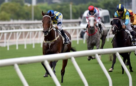 Three For Moreira As Computer Patch Takes The G3 National Day Cup Anz