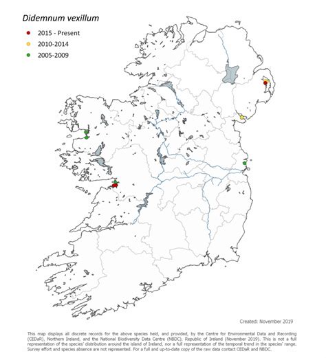 Didemnum Vexillum Invasive Species Northern Ireland