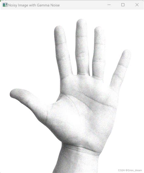 图像预处理（2）图像去噪之噪声的分类瑞利噪声 Csdn博客