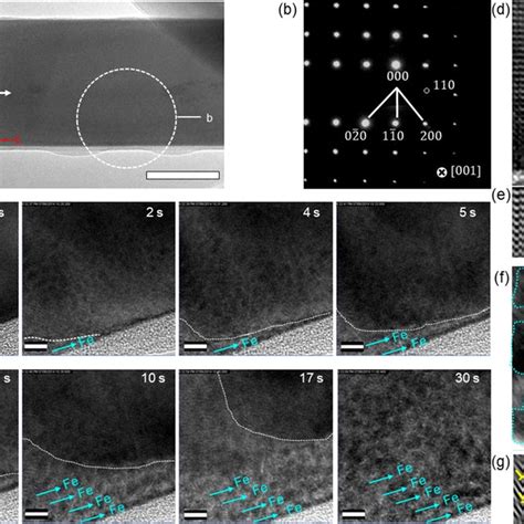 Lithium Conversion And Phase Propagation Within A Single Crystal Of Fef