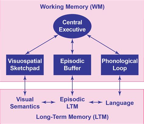 Spitzig Cognitive Psychology