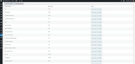 Autoload Optimizer Wordpress Plugin
