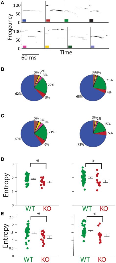 Type And Temporal Sequencing Of Calls A Syllable Identification