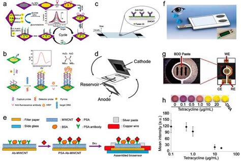 Paper Based Sensors Application Encyclopedia Mdpi