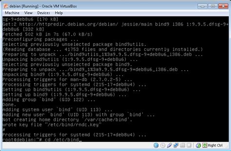 Laporan Laporan Konfigurasi DNS Server