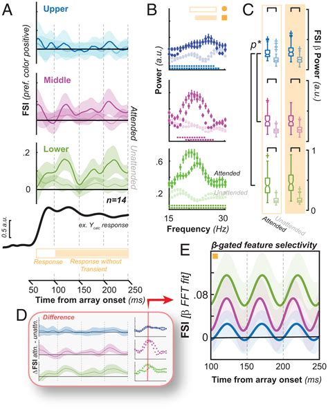Pop Out Search Instigates Beta Gated Feature Selectivity Enhancement Across V4 Layers Pnas