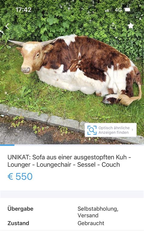 Praise Spez For This Wonderful Cowch Found On The Austrian Craigslist R Crackheadcraigslist